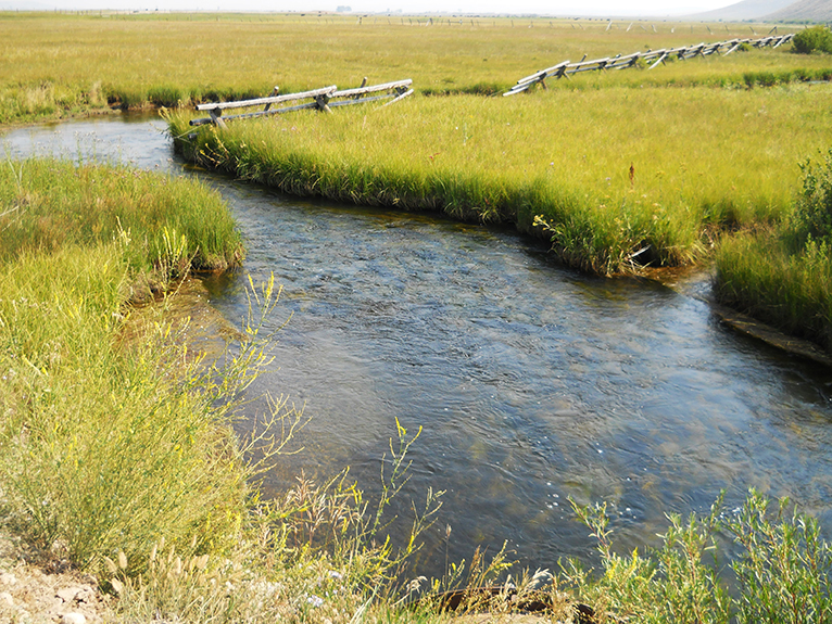 Daniel Fish Hatchery